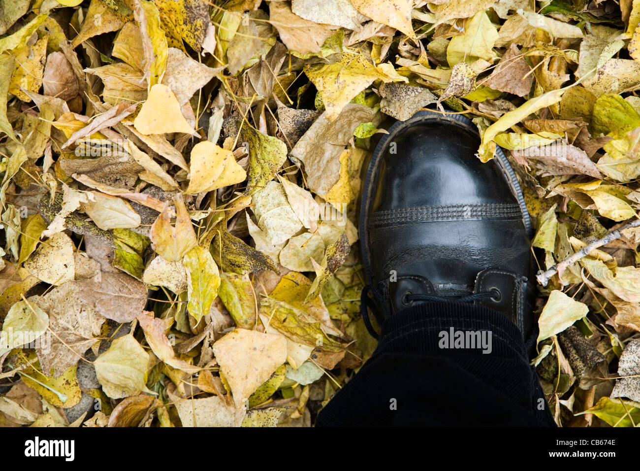 autumn concept,focus point on the boot Stock Photo - Alamy