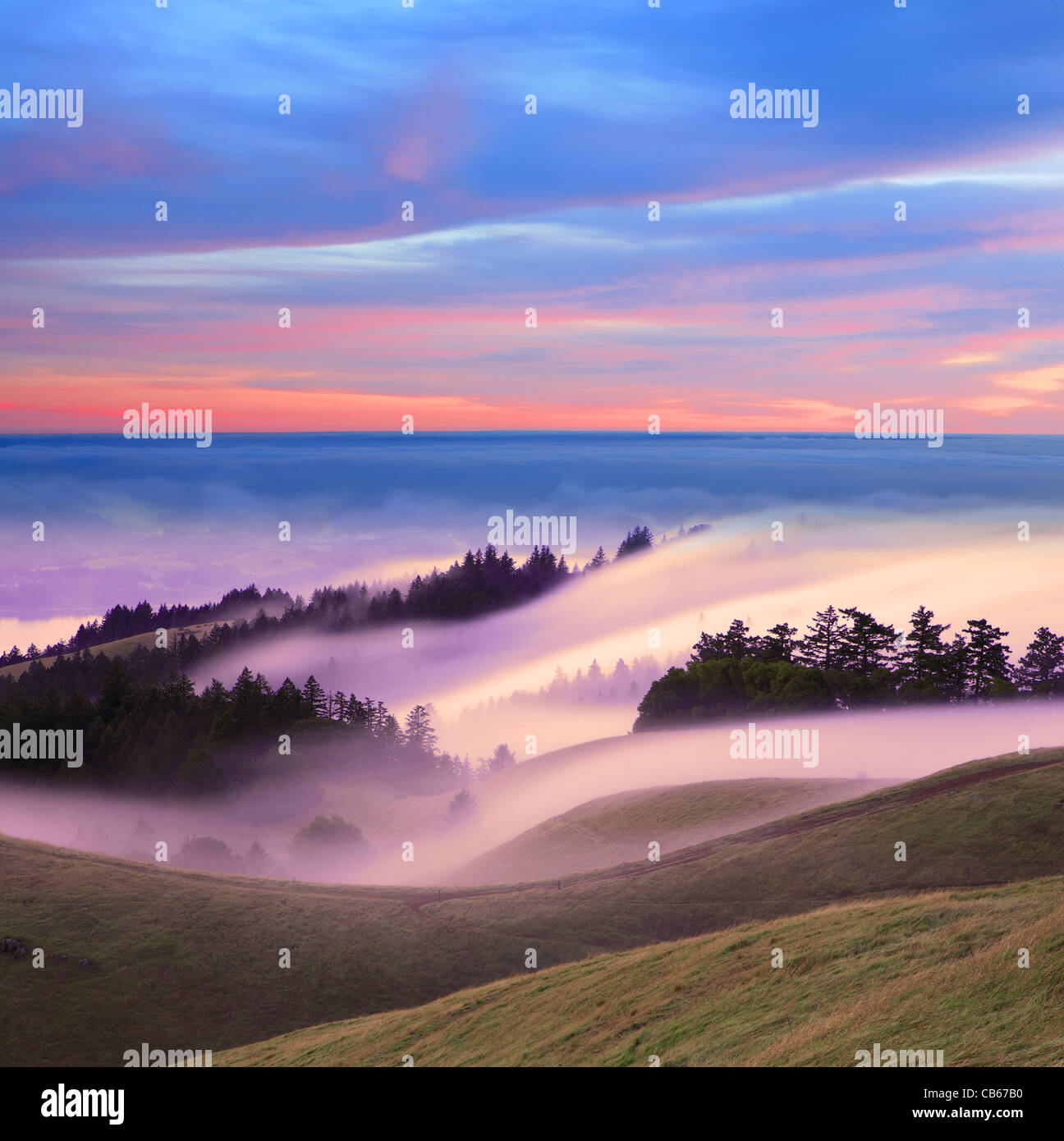 Beautiful nature scene mount tamalpais hi-res stock photography and ...