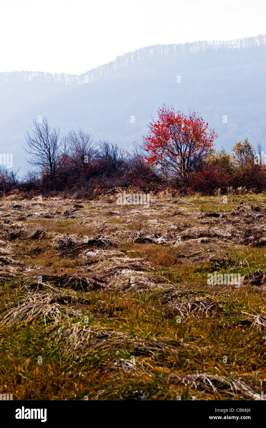 Autumn in the Balkan Mountains in Bulgaria - Europe Stock Photo - Alamy