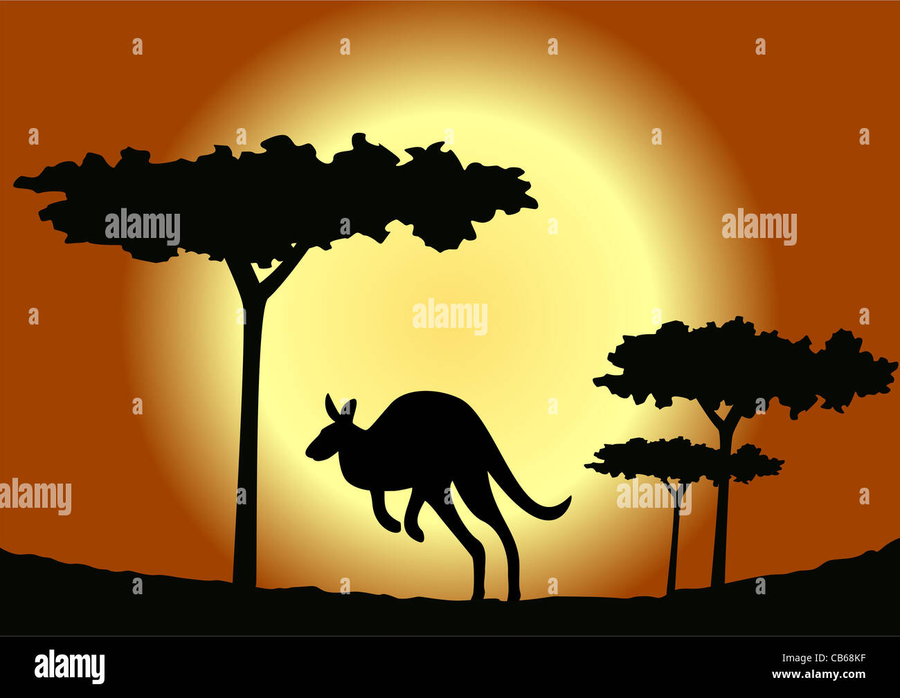 Kangaroo australia prairie hi-res stock photography and images - Alamy