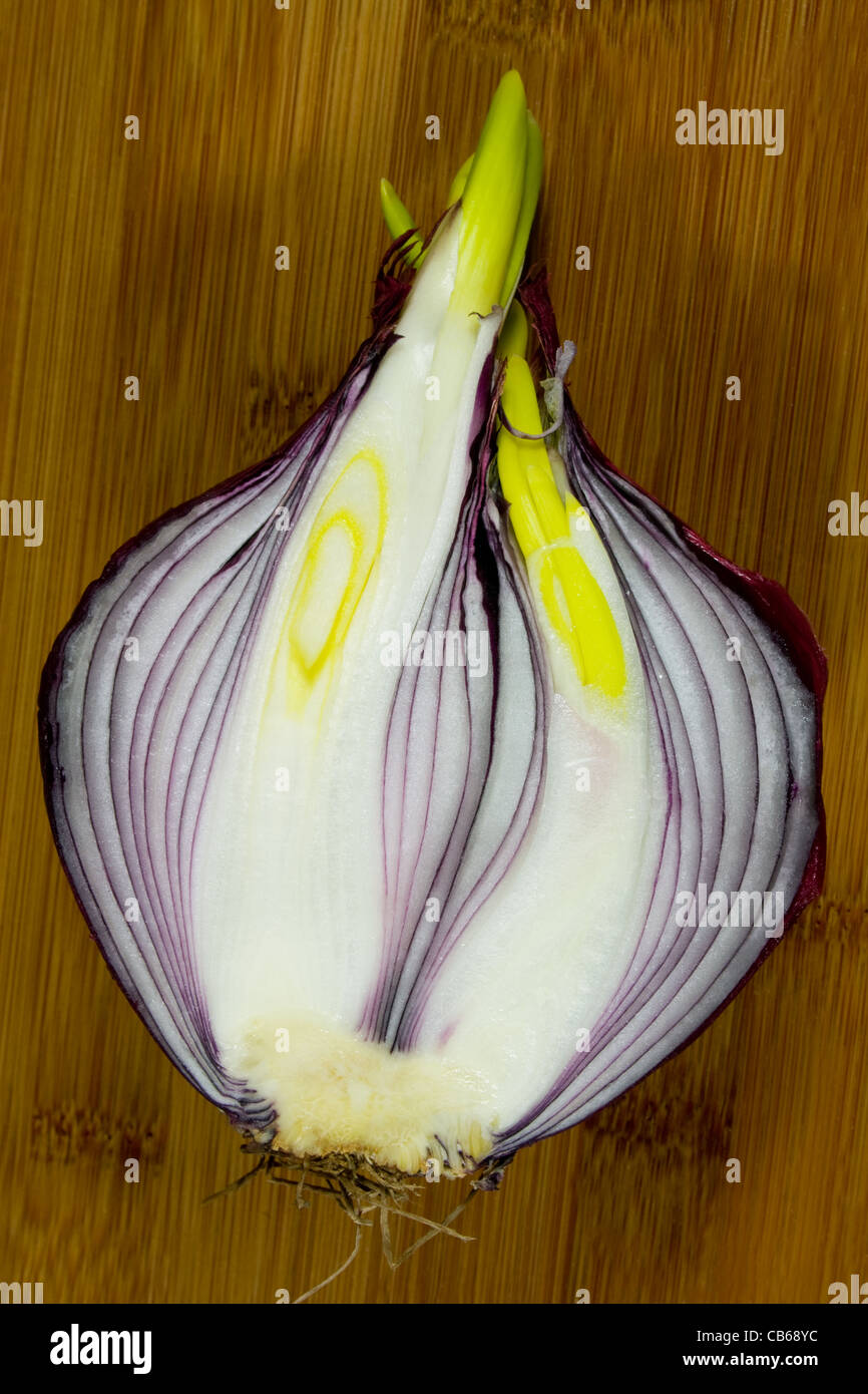 Onion layers hi-res stock photography and images - Alamy
