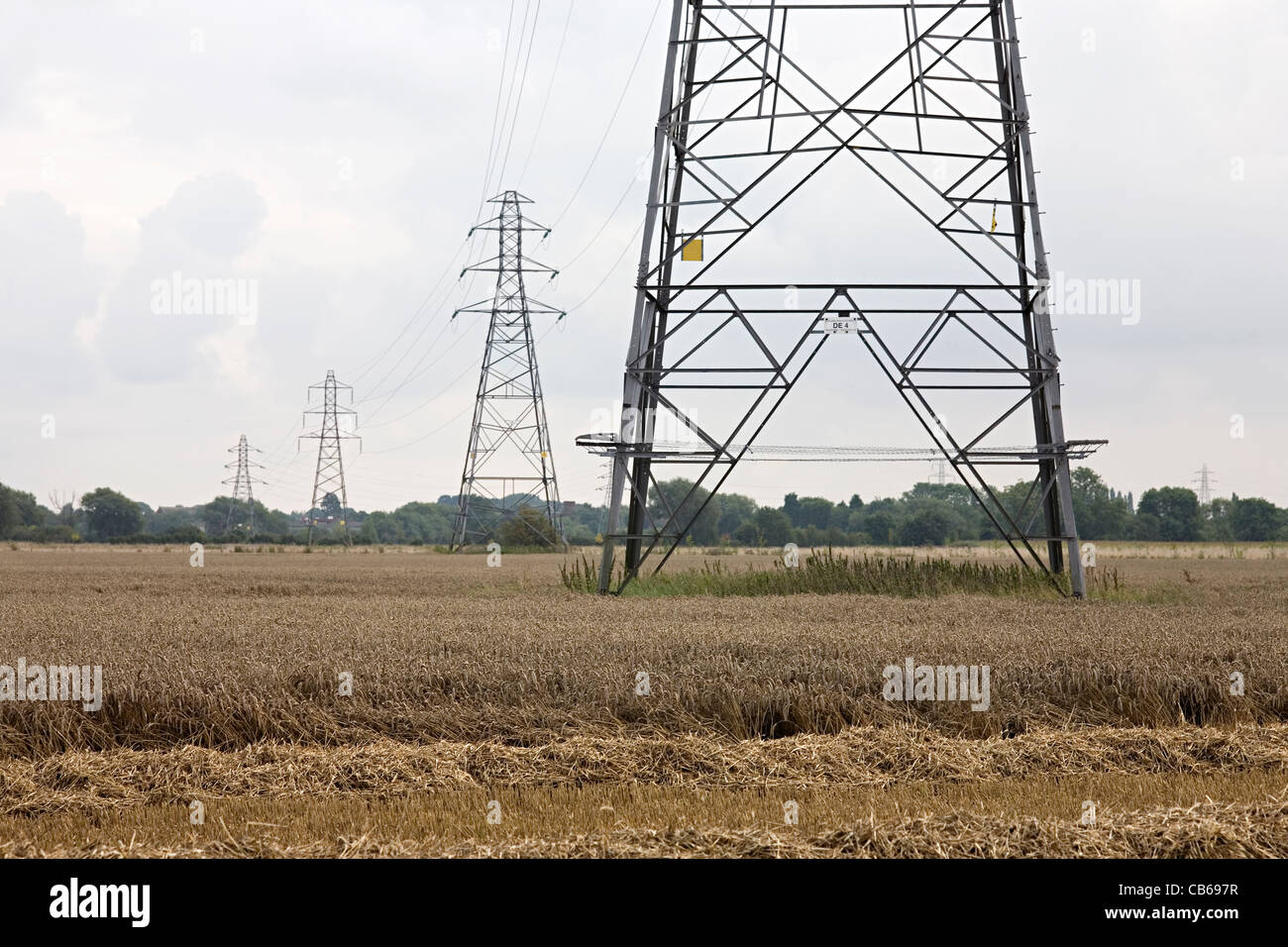 Electricity Pylons in Corn Field Stock Photo - Alamy