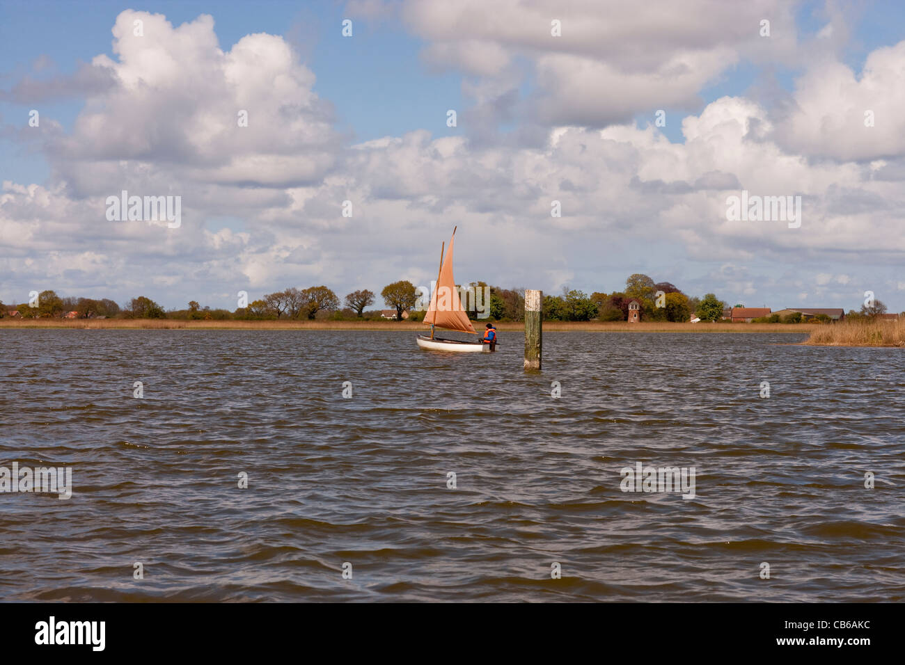 Hickling Broad, Norfolk. Looking across to the Roland Green (artist ...