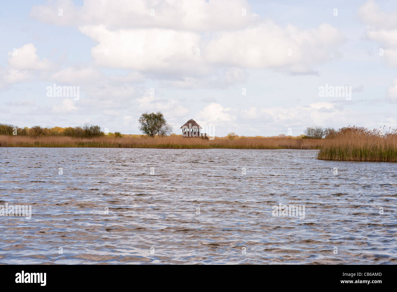 Hickling Broad, Norfolk. Looking across the reserve to the thatched ...