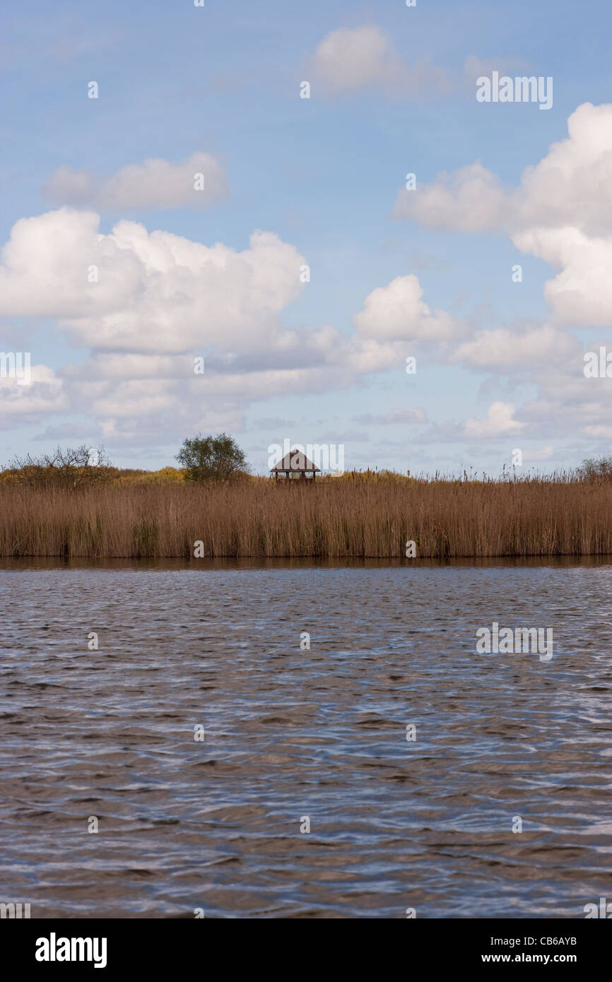 Hickling Broad, Norfolk. Looking across the reserve to the thatched ...