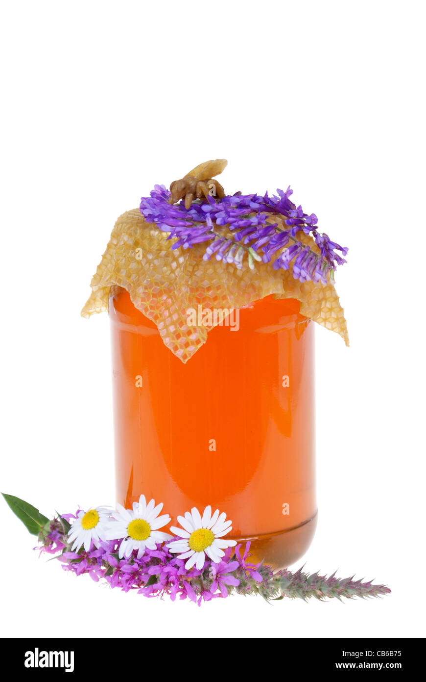 Bee on flower and hive Cut Out Stock Images & Pictures - Alamy