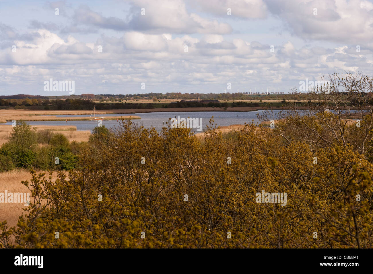 Hickling Broad, Norfolk. Looking towards Martham and West Somerton from ...
