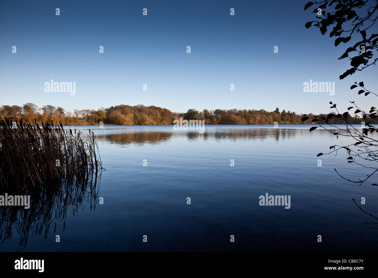 The Mere at Ellesmere, Shropshire, in late afternoon, autumnal light ...