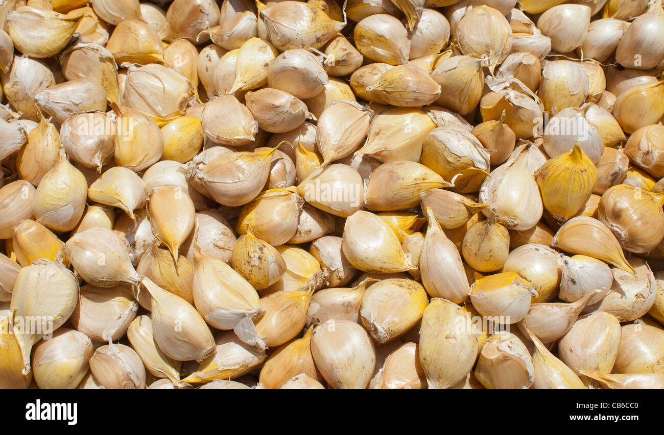 shallots, fresh garlic in cooking chiloe Stock Photo - Alamy