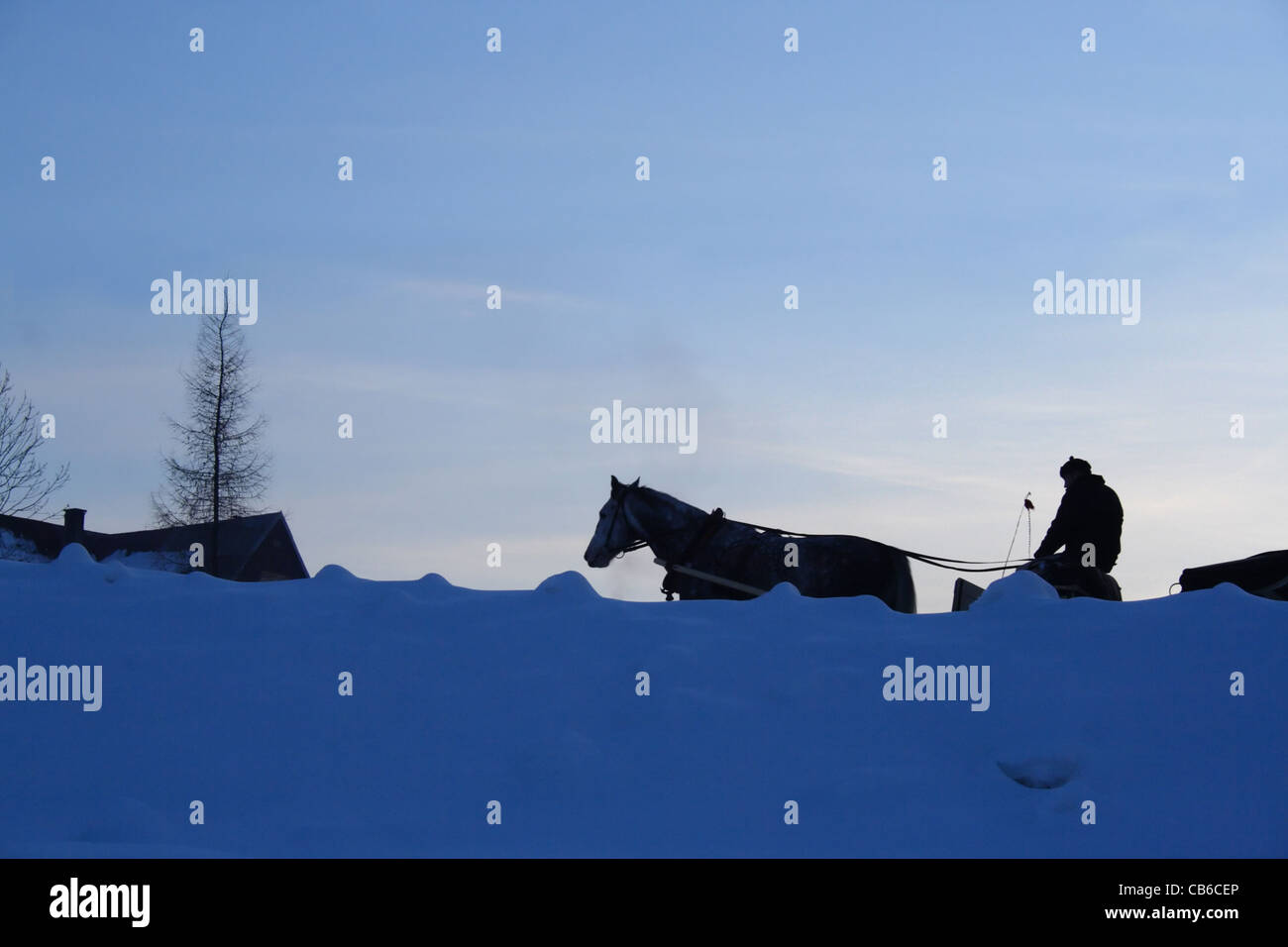 Yoke horse hi-res stock photography and images - Alamy