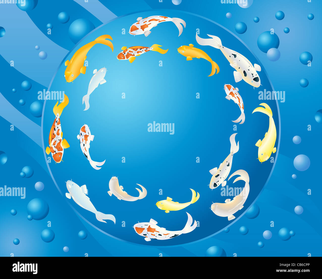 an illustration of colorful koi carp swimming in a circle with blue ...