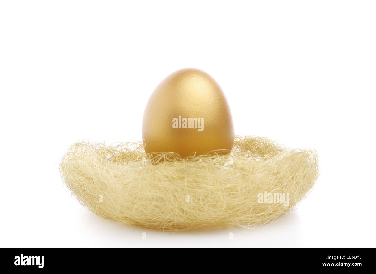 a single golden egg in the nest isolated on a white background Stock ...