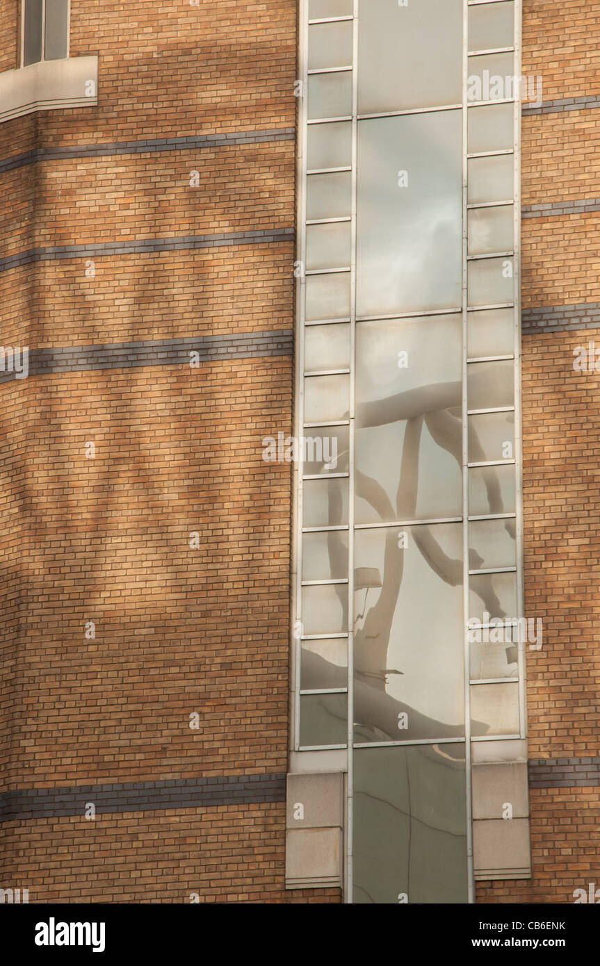 Reflection in window Stock Photo - Alamy