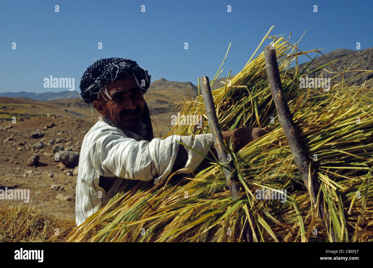 Kurdish farmers in Iraqi Kurdistan dressed in traditional linen clothes ...