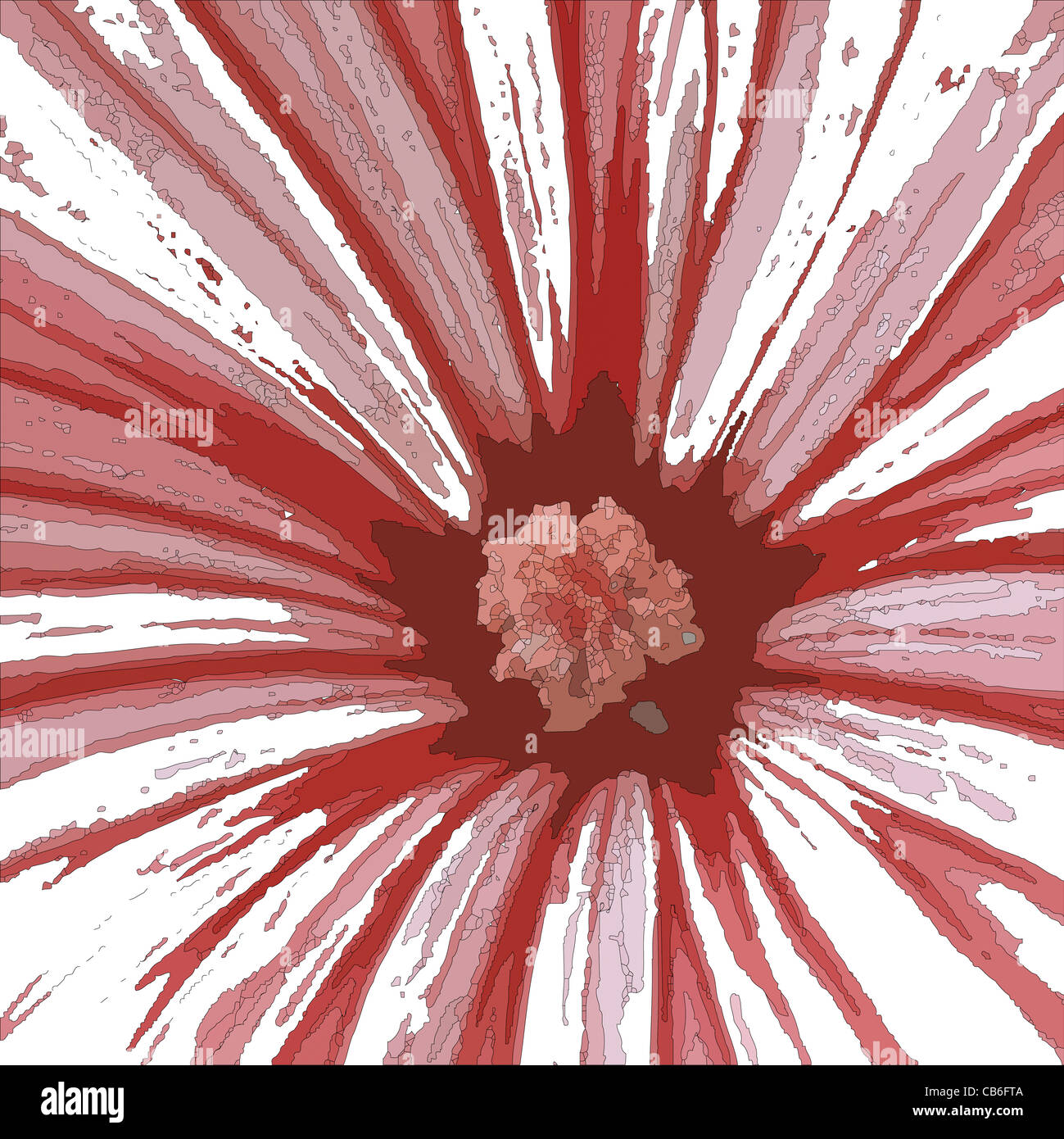 Mallow illustration hi-res stock photography and images - Alamy