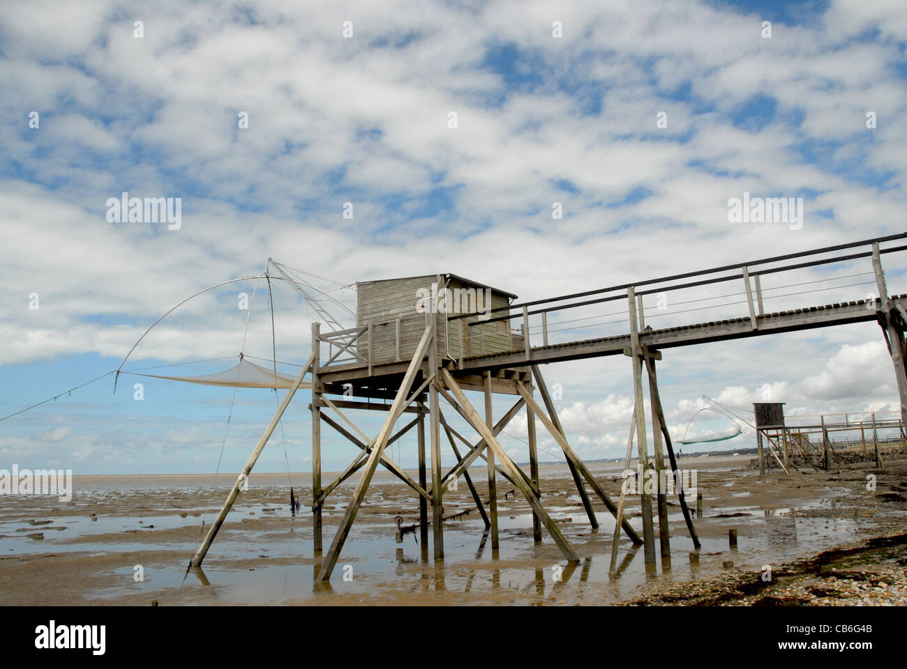 Loire atlantique fish hi-res stock photography and images - Alamy
