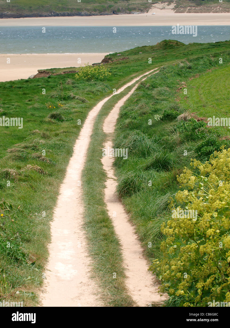 Coastal track, Padstow, Cornwall, UK Stock Photo - Alamy