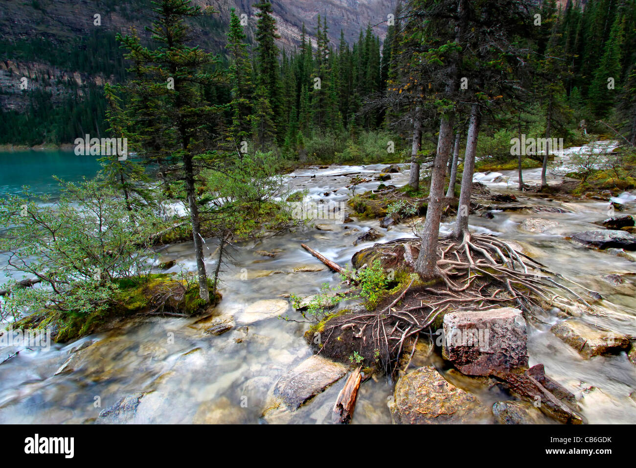 Rocks ecosystem hi-res stock photography and images - Alamy