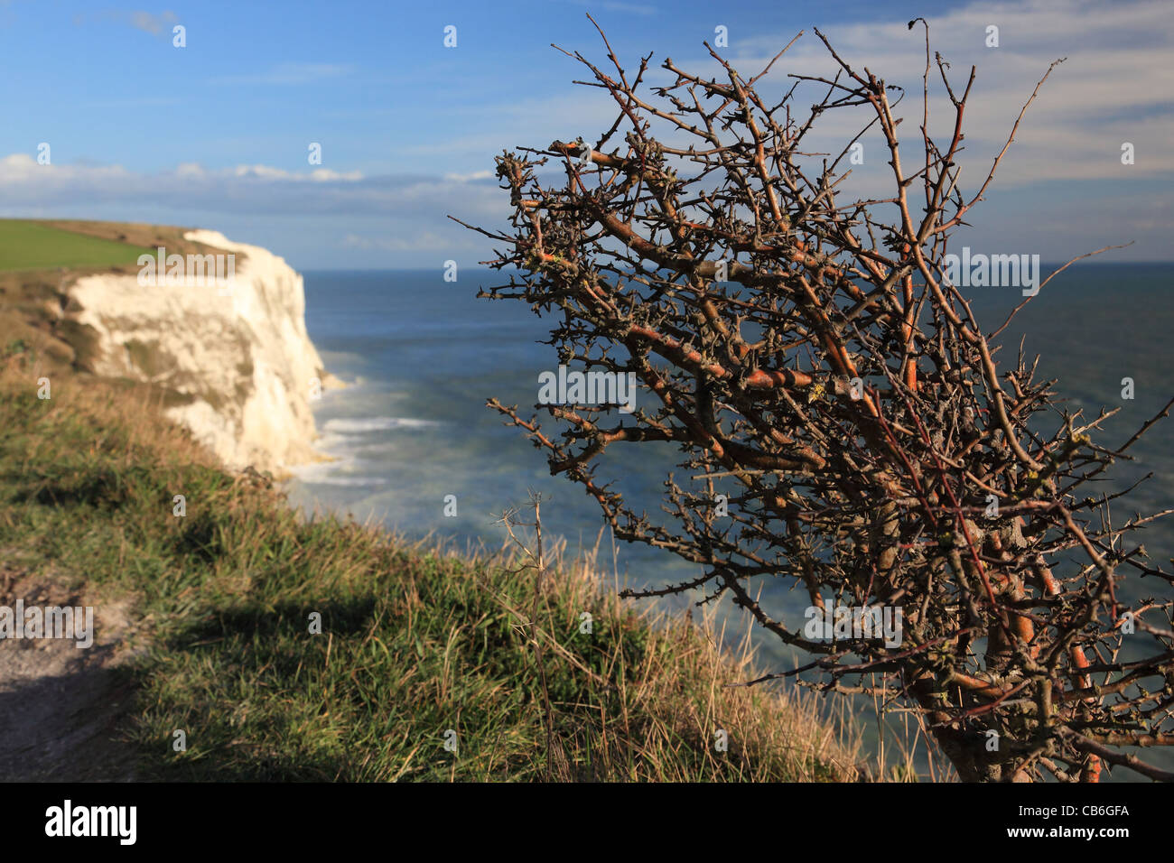 White Cliffs of Dover, Kent England Stock Photo - Alamy