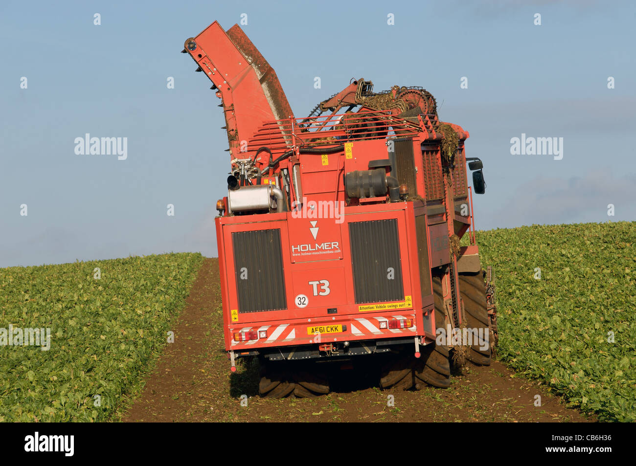 Holmer self-propelled sugar beet harvester Stock Photo - Alamy
