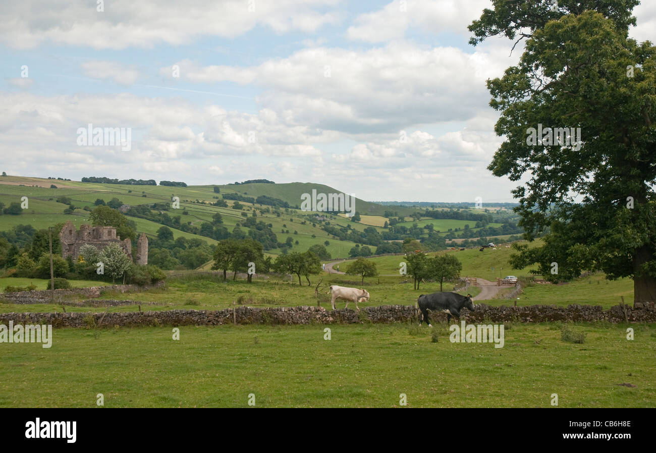 Throwley old hall hi-res stock photography and images - Alamy