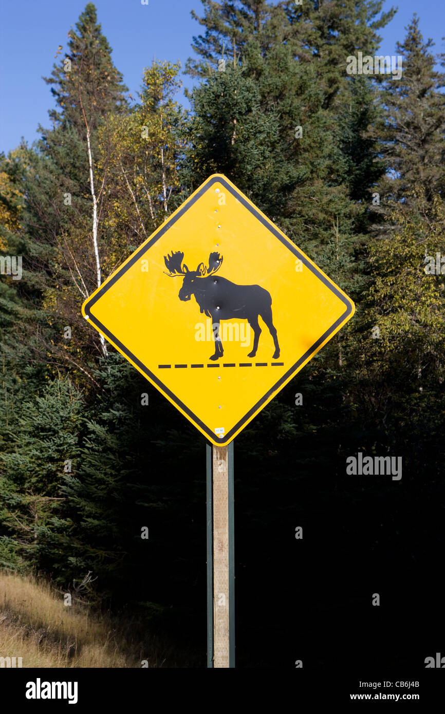 New England: Moose warning road sign Stock Photo - Alamy