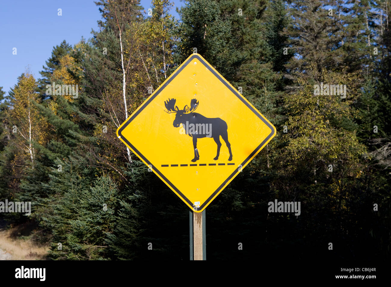 New England: Moose warning road sign Stock Photo - Alamy