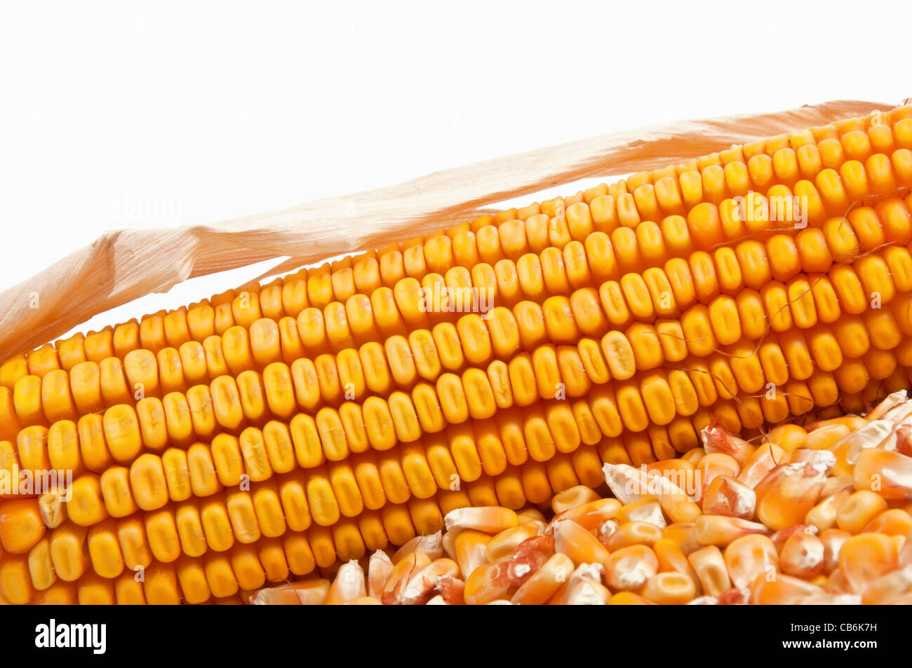 Beautiful yellow ear of corn over a white background Stock Photo - Alamy