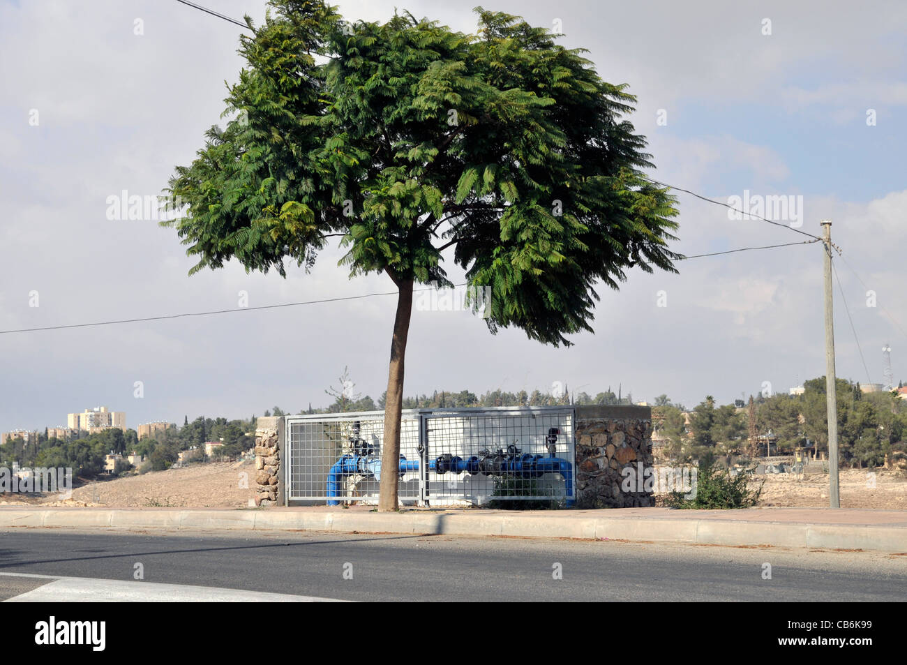 Gas-distributing station and green tree, Arad, Israel, Asia, Middle ...
