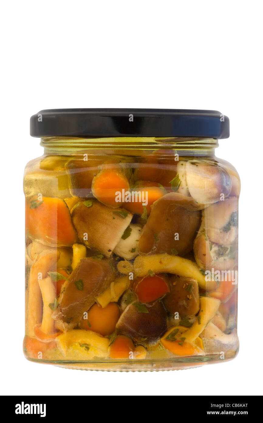 Funguses hi-res stock photography and images - Alamy