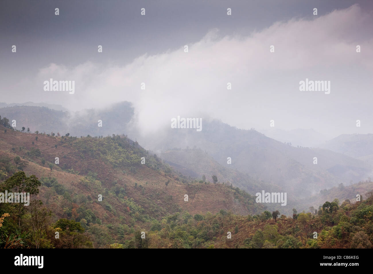 India, Nagaland, Tuophema, early morning cloud in wooded valley Stock ...