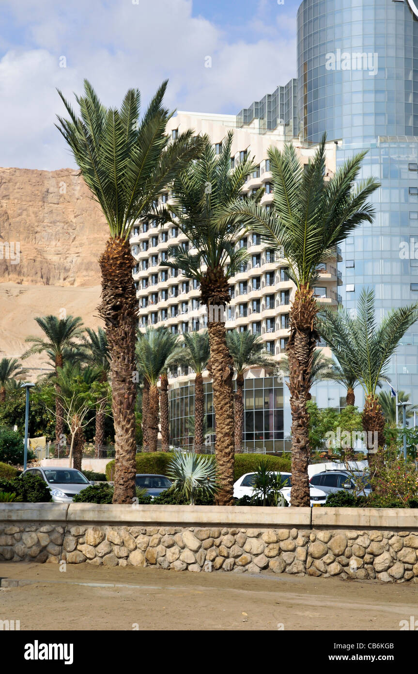 Israel palm trees hi-res stock photography and images - Alamy