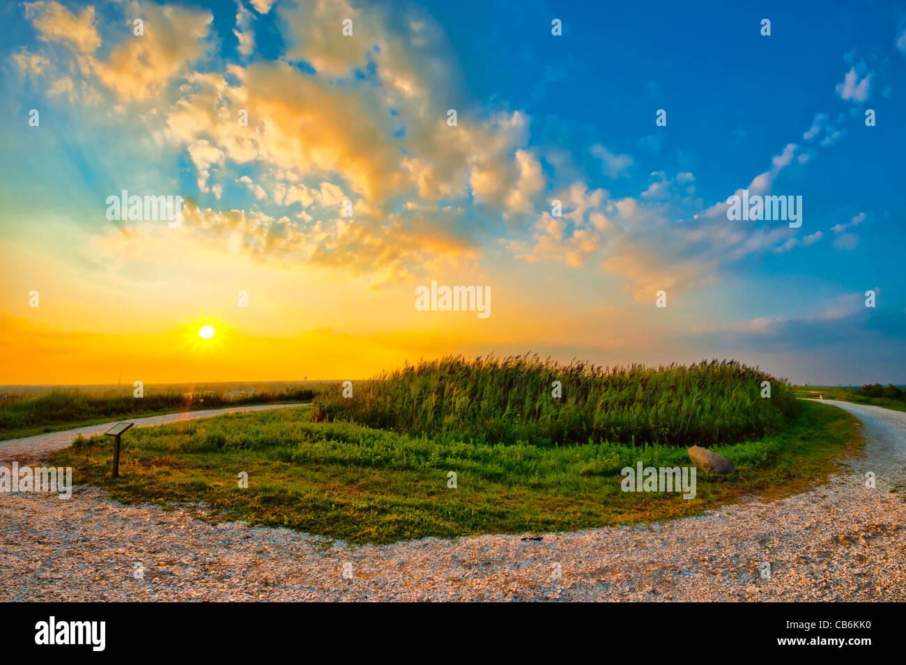 Marshland sunset from hilltop with curved stone path around marsh reeds ...