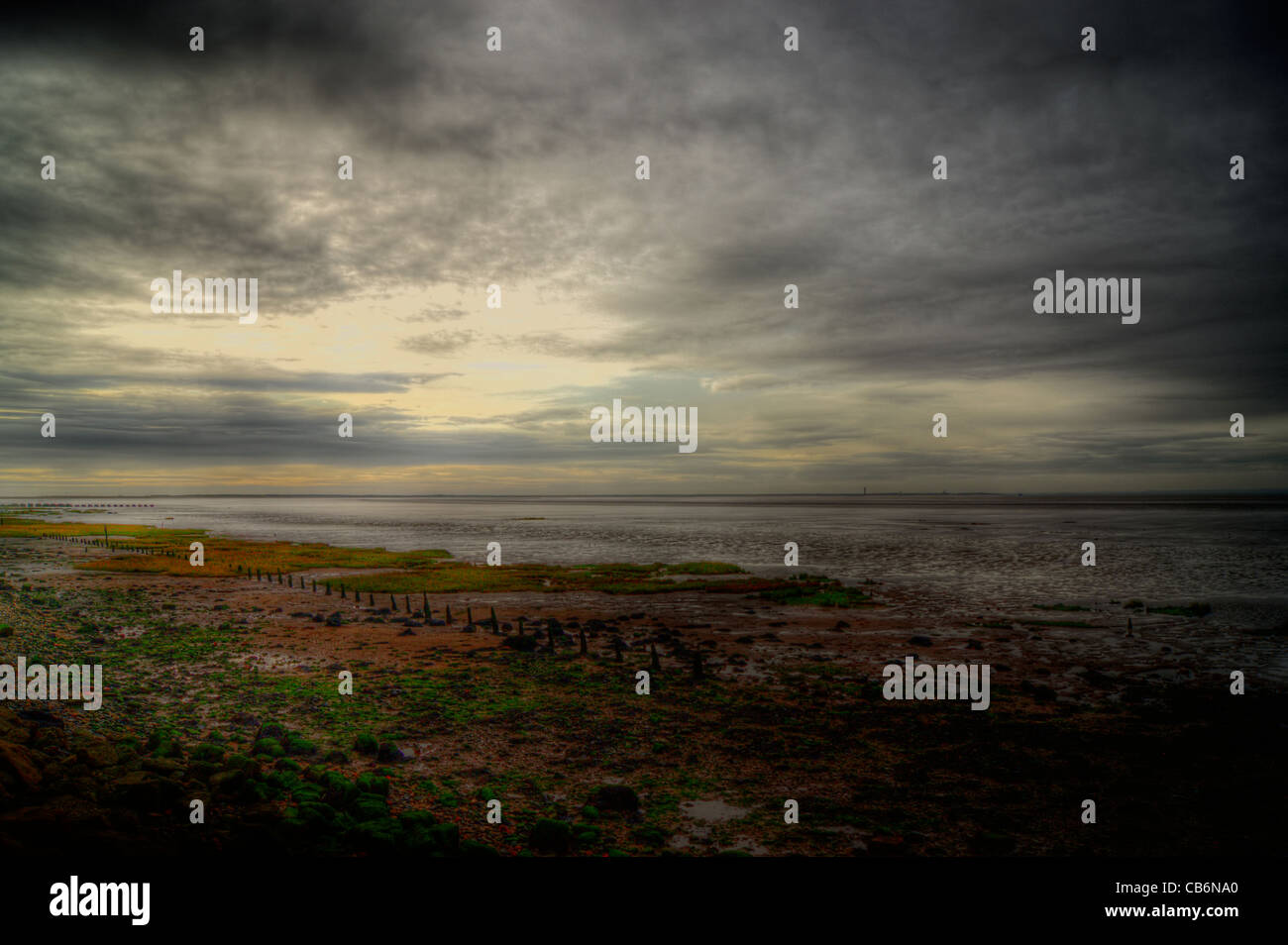 Groynes, coastal management at Spurn Point on the East Yorkshire coast ...
