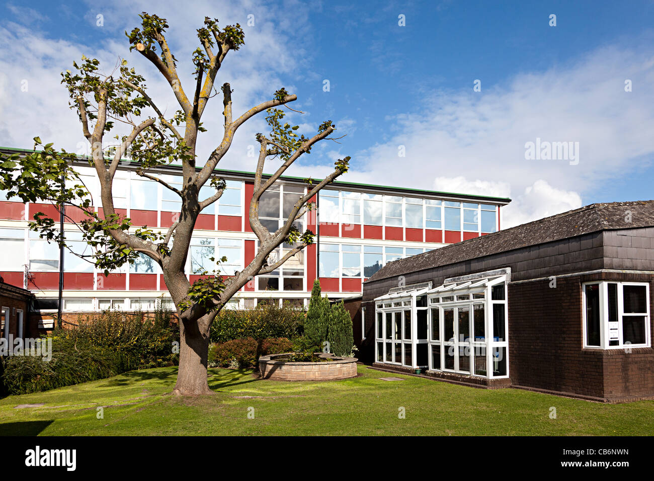 School buildings with different architecture and pollarded tree ...