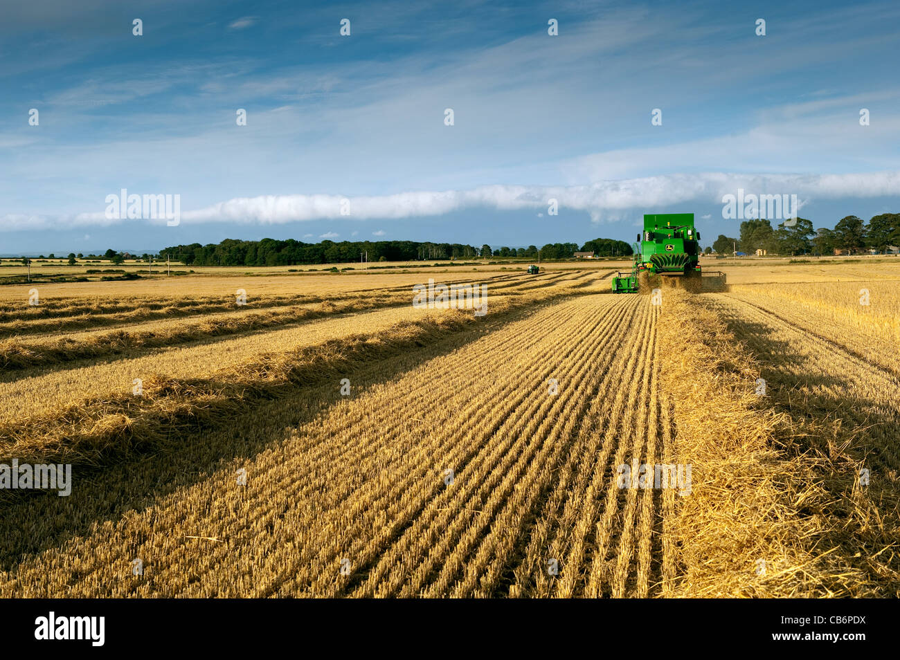 Combine harvester in field of barley straw Stock Photo - Alamy