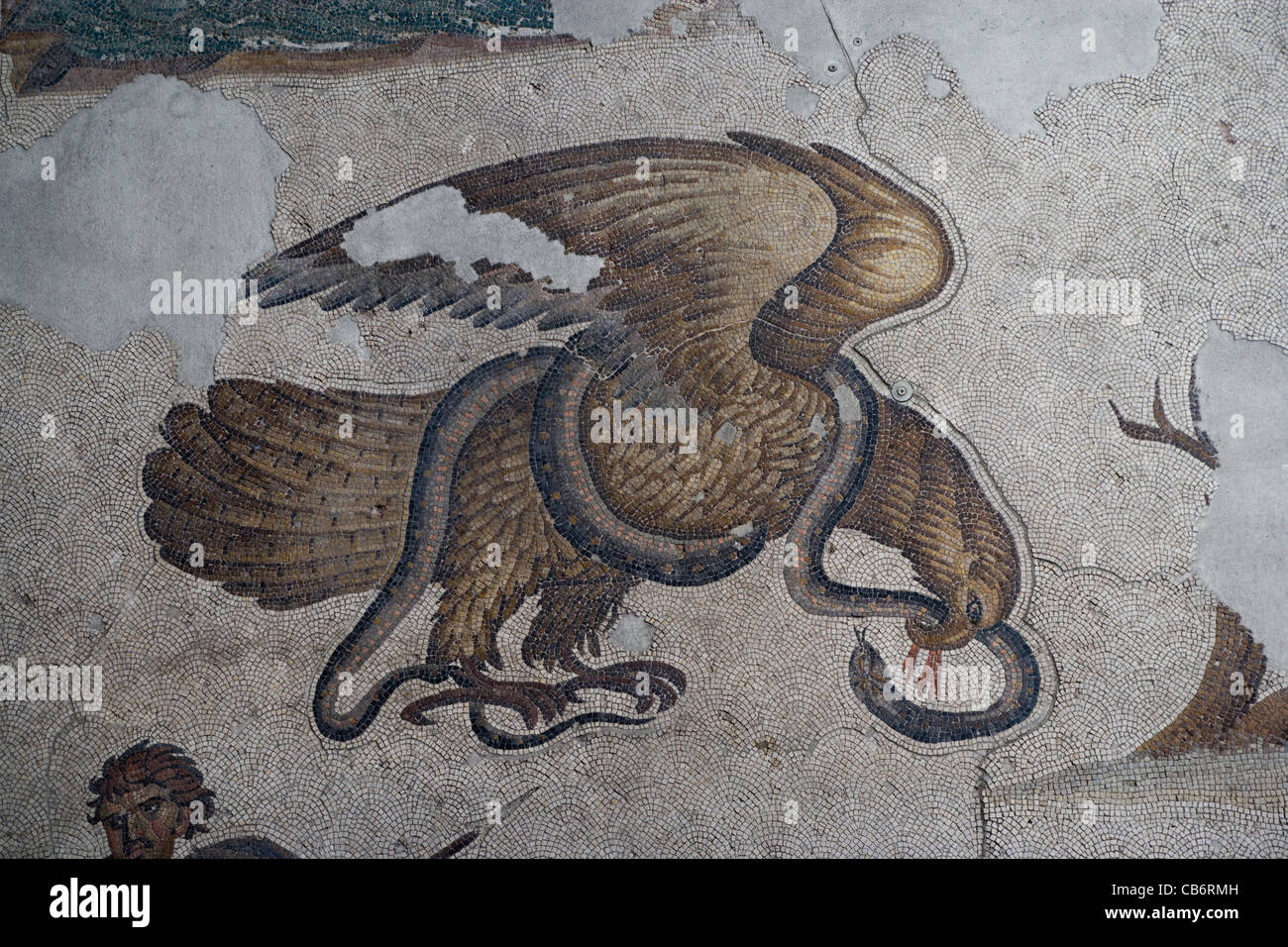 Great palace mosaic museum hi-res stock photography and images - Alamy