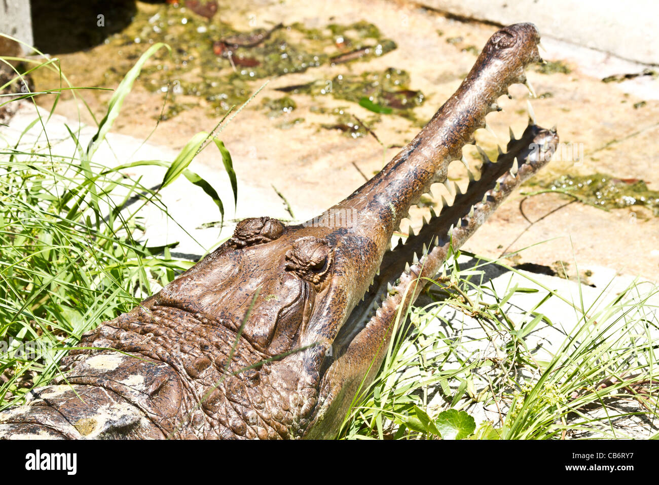 Malaysian states hi-res stock photography and images - Alamy