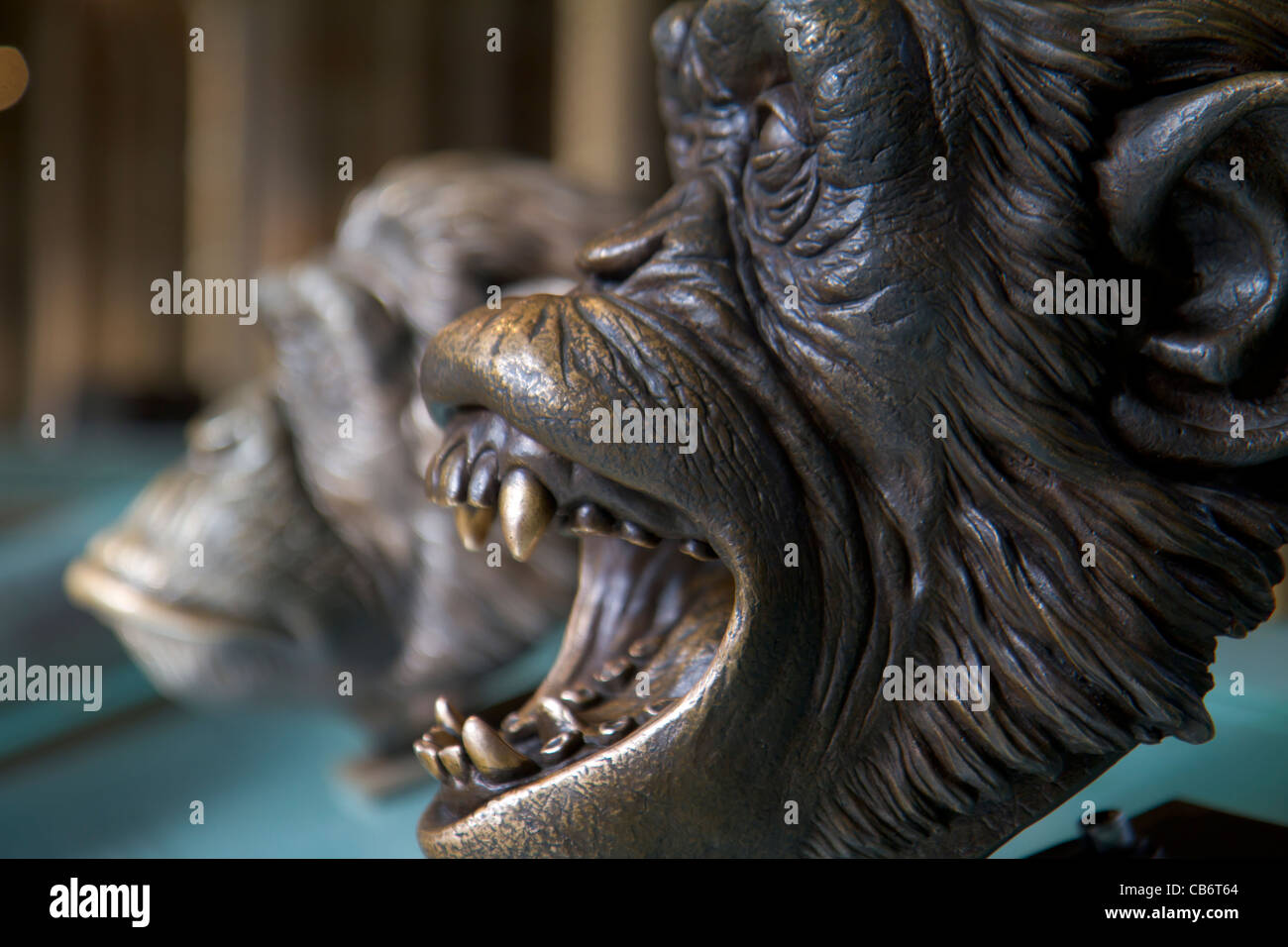 Bronze busts of two chimpanzes in Natural history museum Stock Photo ...