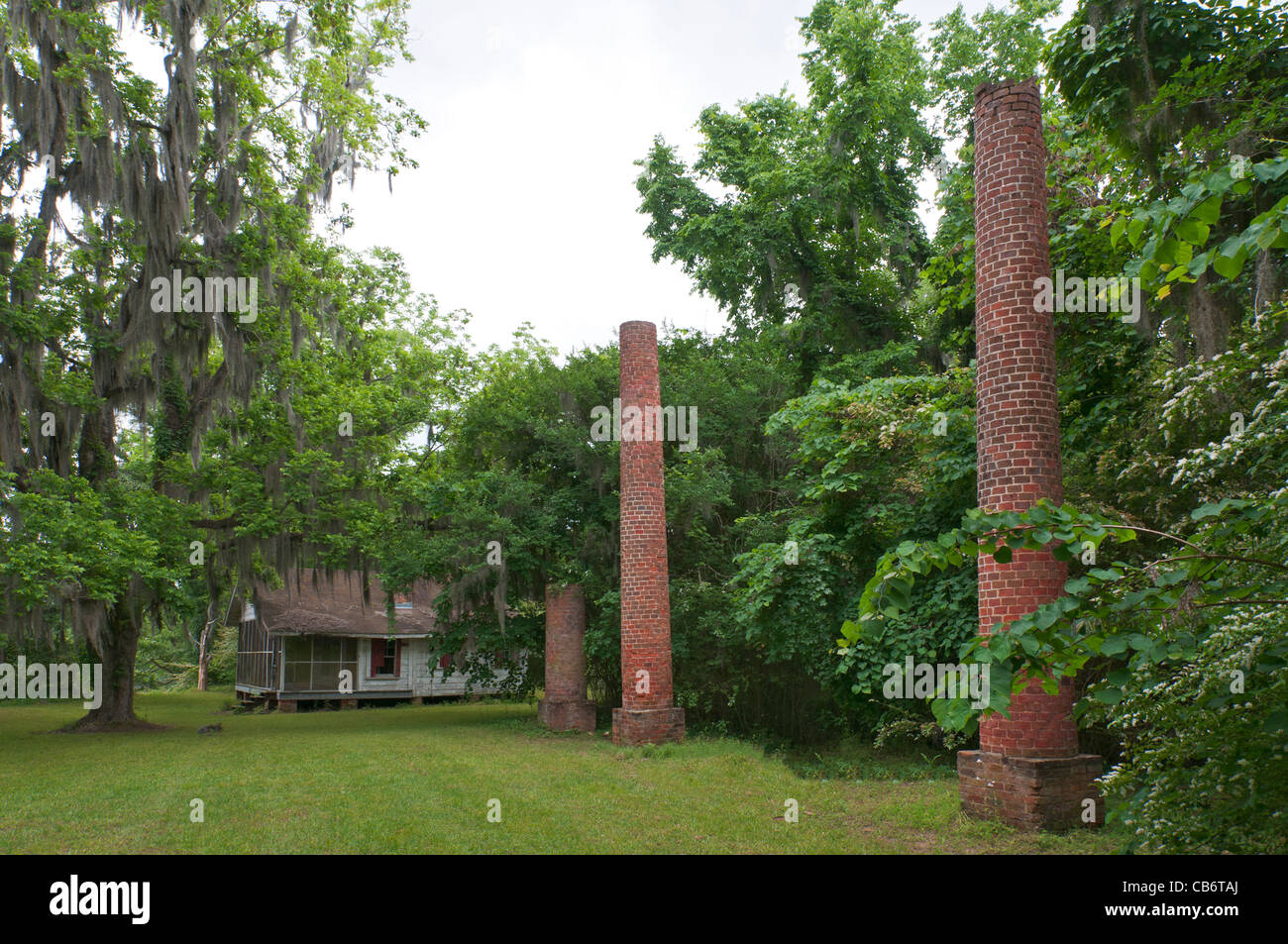 Old cahawba park hi-res stock photography and images - Alamy