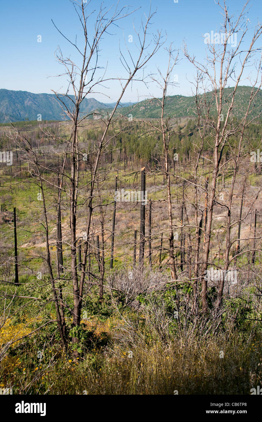 Firescape hi-res stock photography and images - Alamy