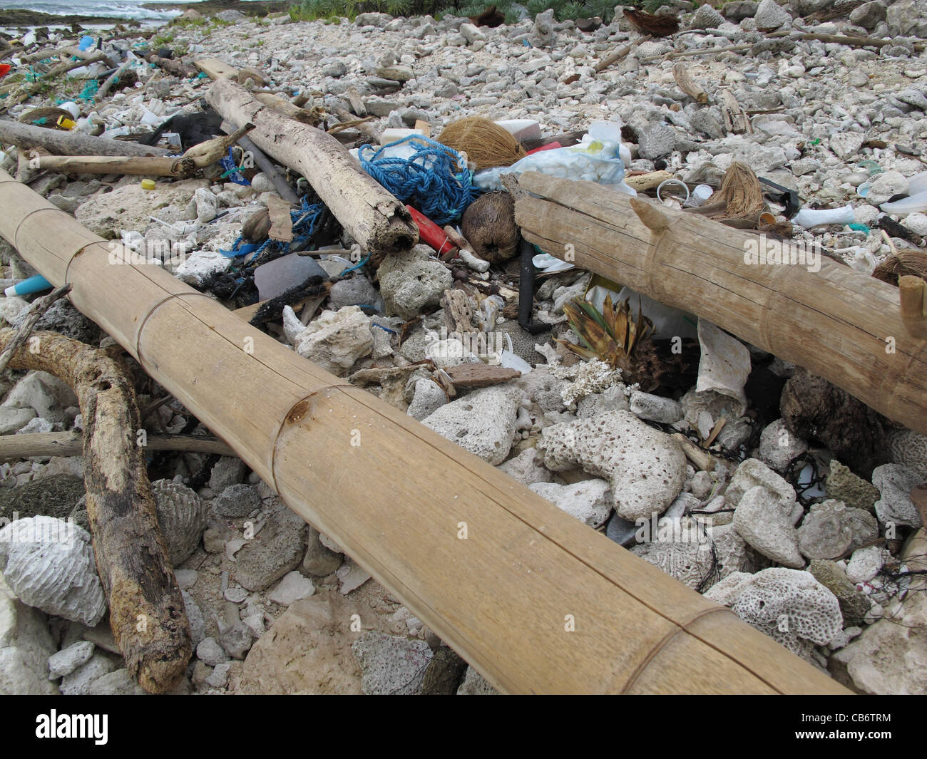 Waste washed out on Caribbean sea shore Stock Photo - Alamy