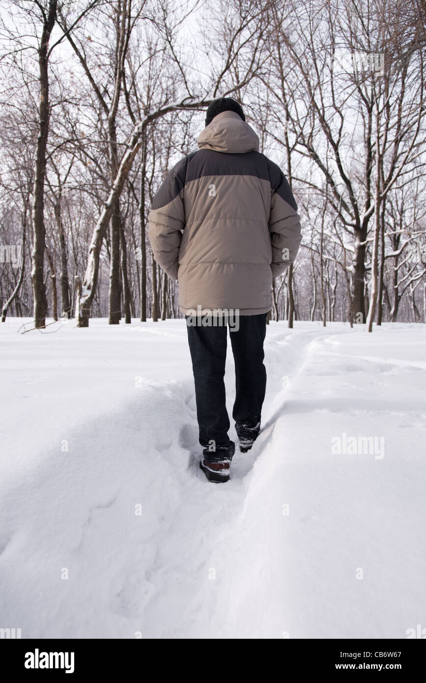 Concept for forest hi-res stock photography and images - Alamy