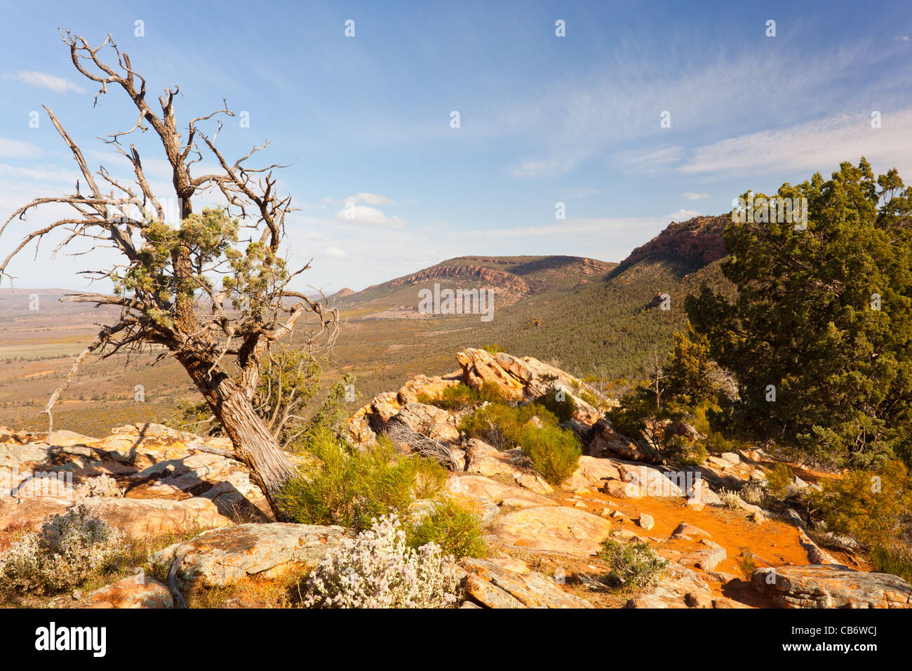 View from Jarvis Hill Lookout over Yourambulla Range near Hawker in the ...