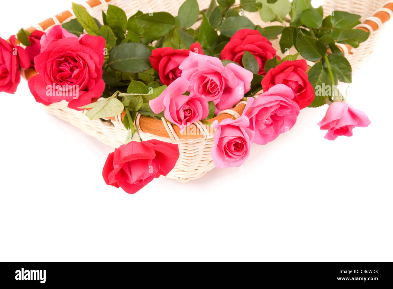 fresh red flowers on tray isolated on white background Stock Photo - Alamy