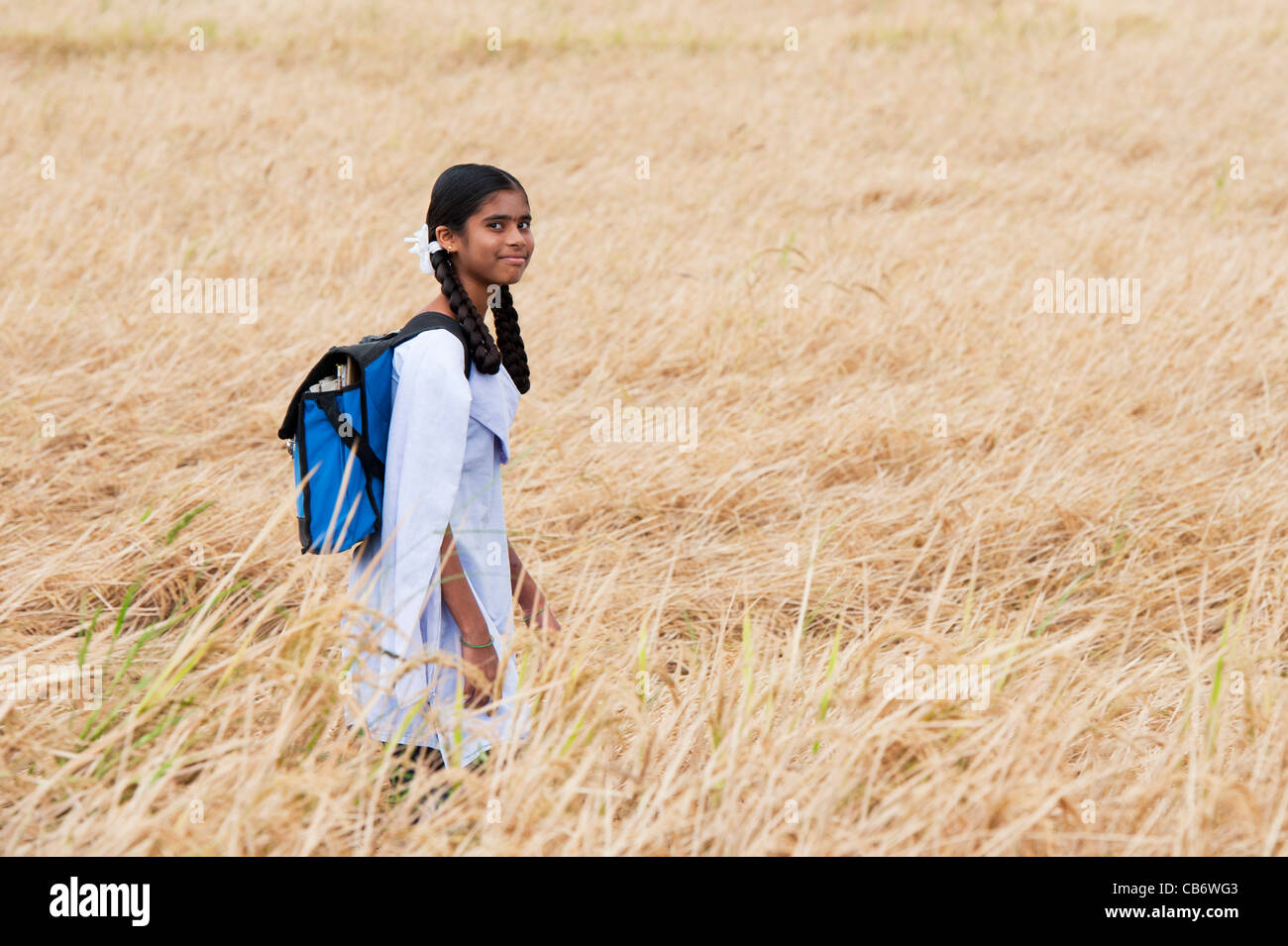 Indian girl walking to school through ripe rice paddy field. Andhra ...