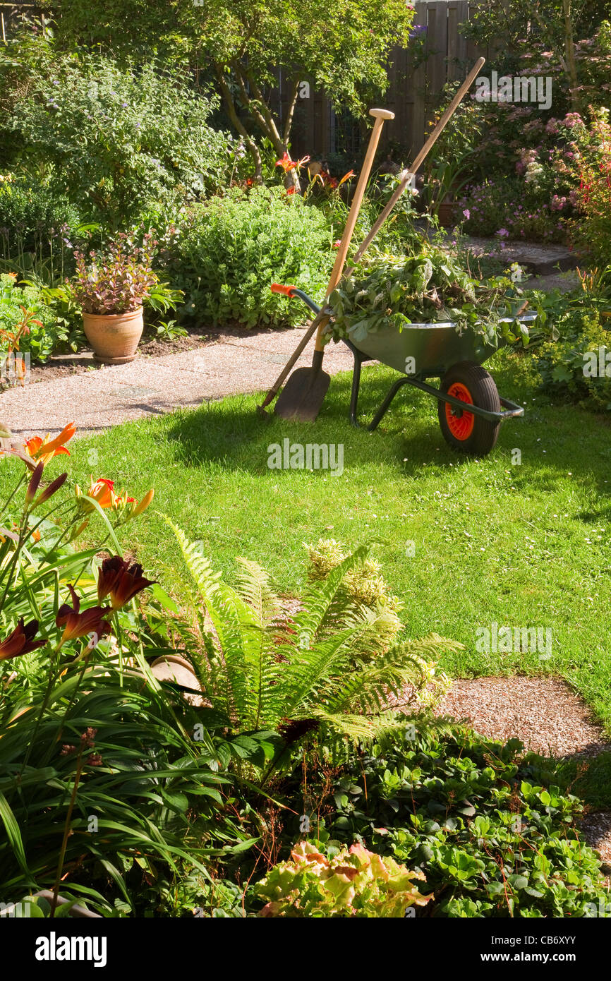 Work in summer garden in the morning with wheelbarrow, shovel and rake ...