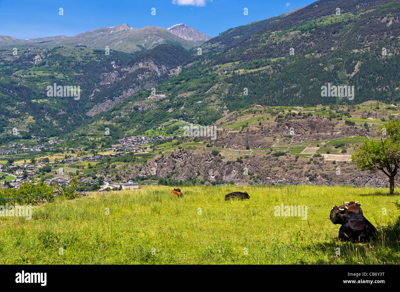 Aosta Valley. Italy Stock Photo - Alamy