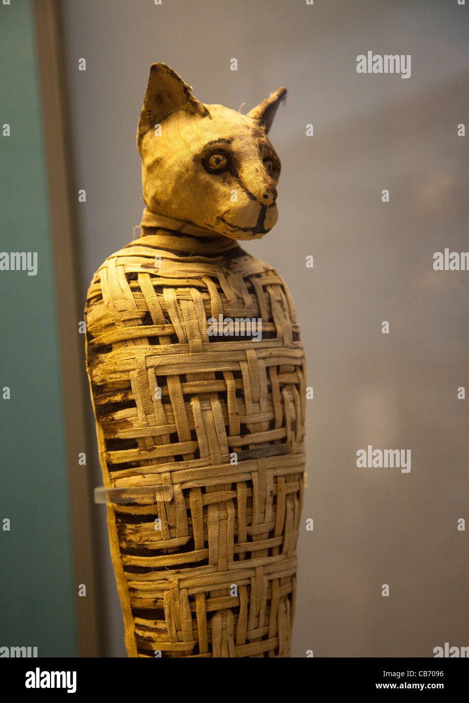 What Were Mummified Cats Used For what-were-mummified-cats-used-for