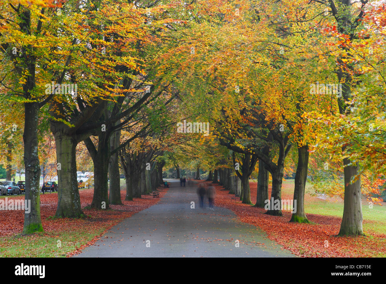 The Promenade in Autumn, Clifton. Bristol. England. UK Stock Photo - Alamy